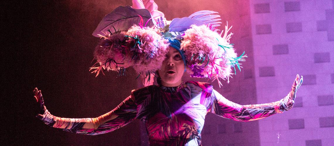 Amphibian Slide 2 Frankston Arts Centre